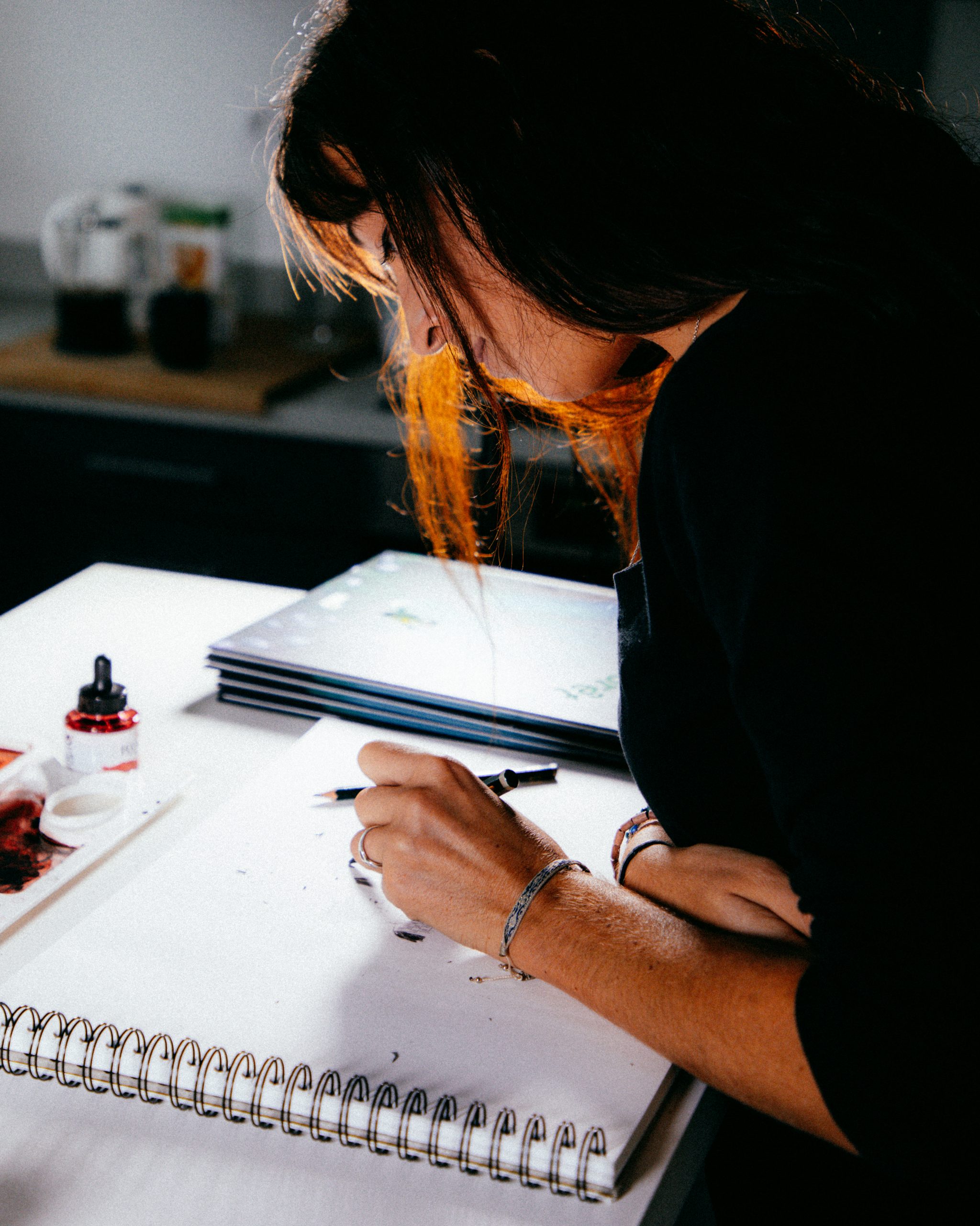 SalondelaBDdeSevrier